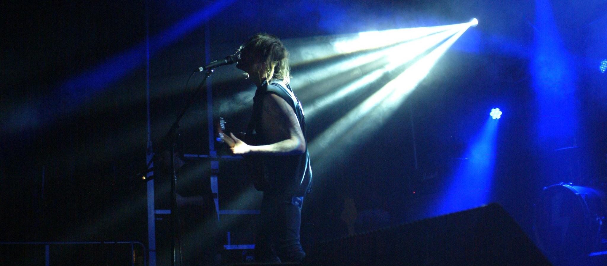 Laura Strauss, Autor bei